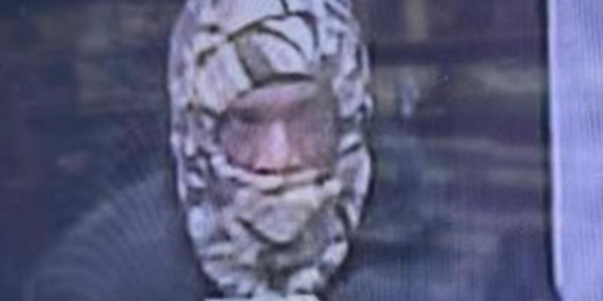 WPD asking for public’s help in break-in case WPD asking for public’s help in break-in case